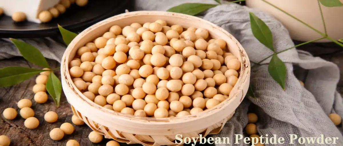 China Soybean Peptide Powder Manufacturers Suppliers Factory - Buy ...