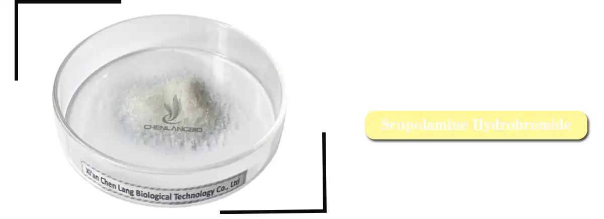 China Scopolamine Hydrobromide Powder Manufacturers Suppliers Factory ...